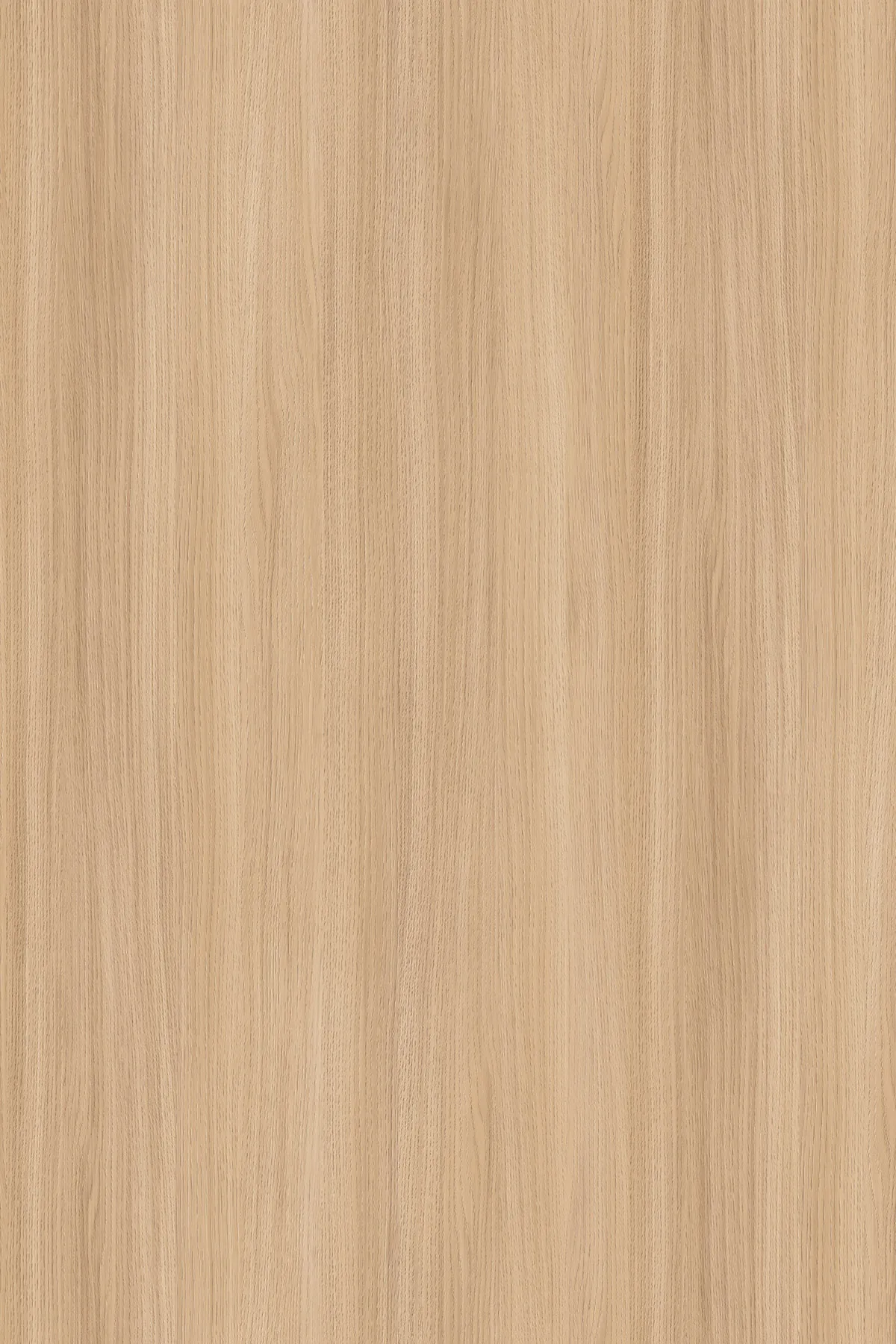 LKSP Sand Barbera Oak, K543SN - Trukmė