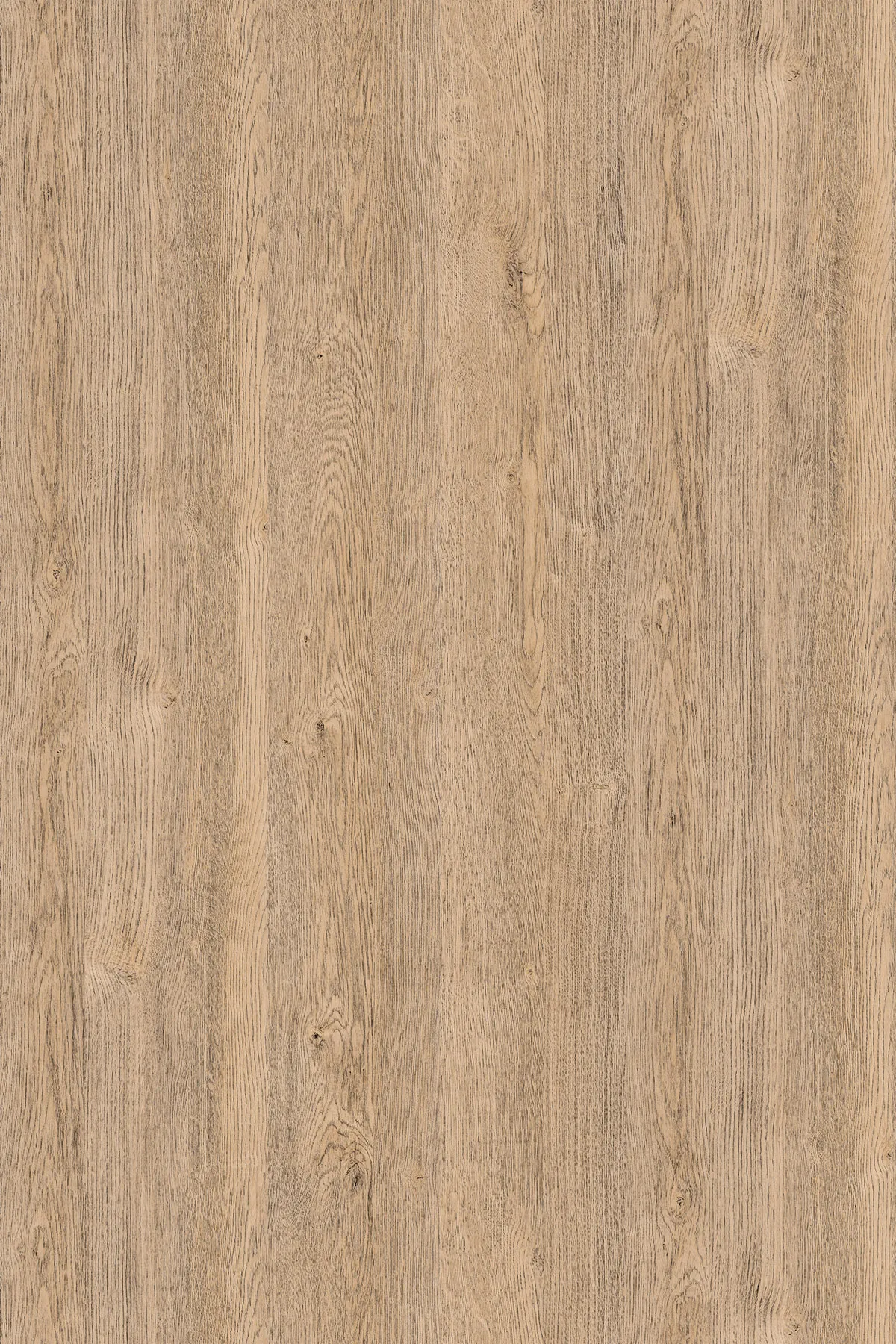 HPL loksne 0.8MM, Sand Expressive Oak, K076PW - Trukmė